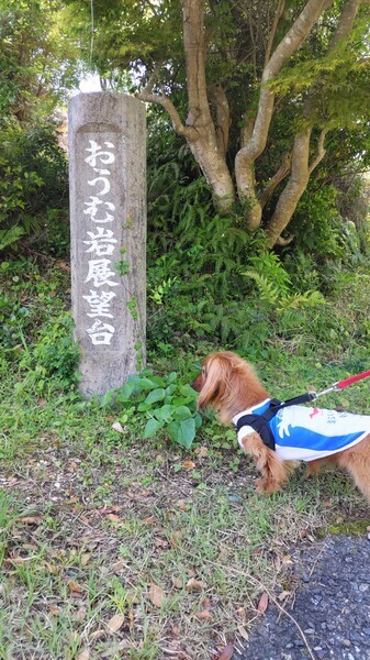 2025GW 三重旅行 ⑪: てんの坊ちゃん日記